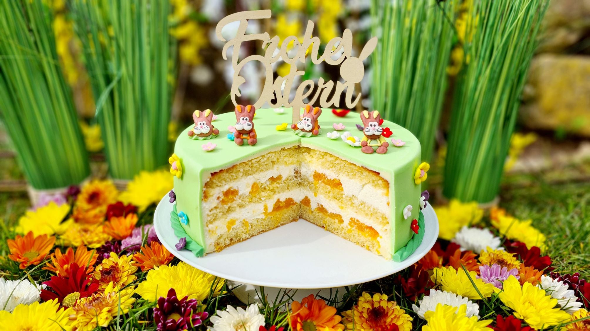 Käse Sahne Torte mit Mandarinen – Clever Cakes